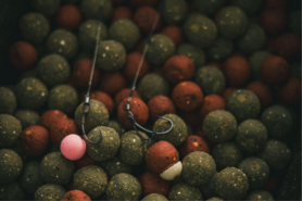 Boilies - Proline